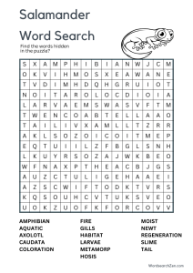 Salamander Word Search Free Printable PDF File - WordsearchZen.com