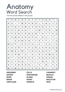 Anatomy Word Search Free Printable PDF File - WordsearchZen.com