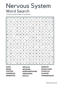 Nervous System Word Search Free Printable PDF File - WordsearchZen.com