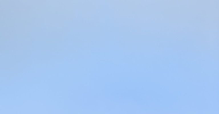 Unlocking New Words: The Vocabulary Benefits of Word Searches