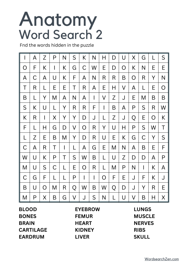 Anatomy Word Search Free Printable PDF File - WordsearchZen.com