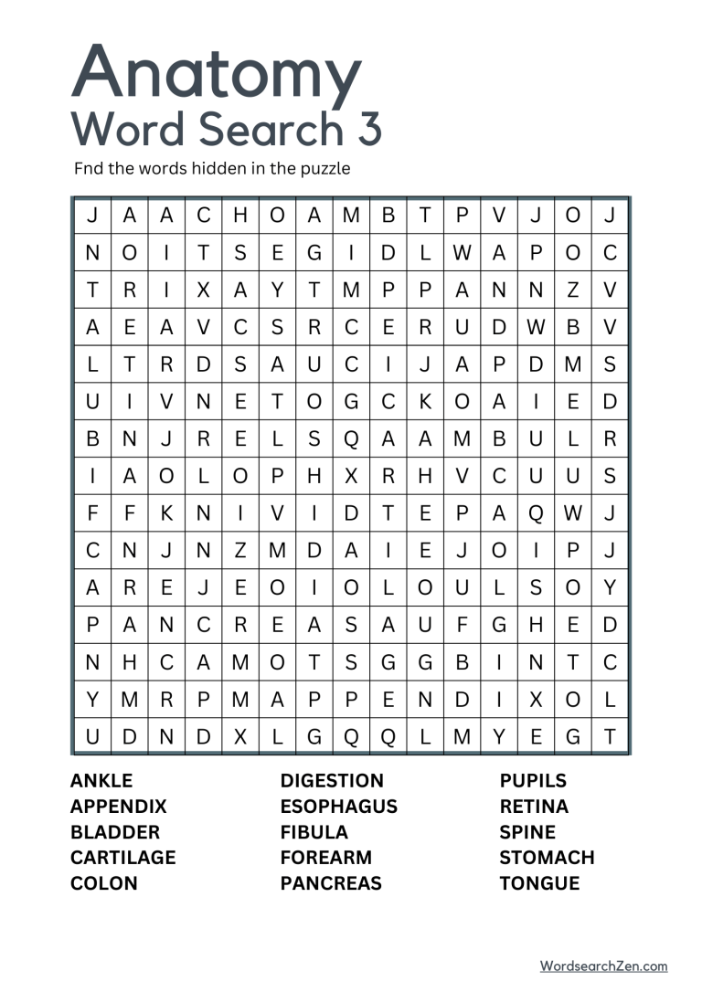 Anatomy Word Search Free Printable PDF File - WordsearchZen.com