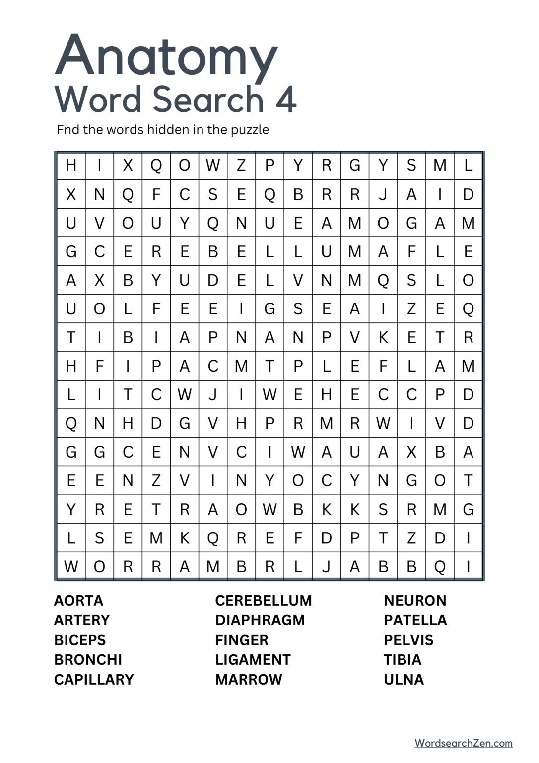 Anatomy Word Search Free Printable PDF File - WordsearchZen.com