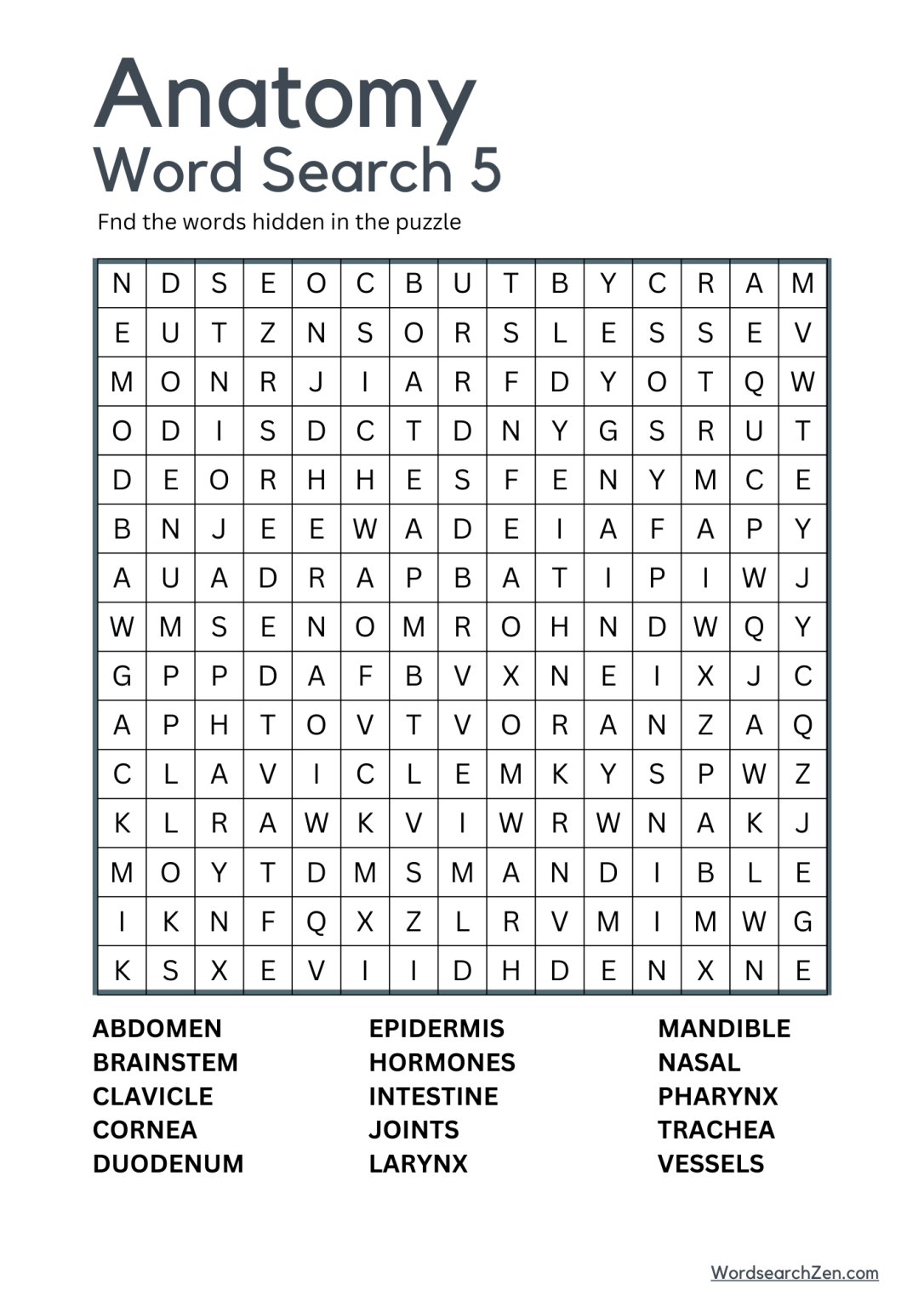 Anatomy Word Search Free Printable PDF File - WordsearchZen.com